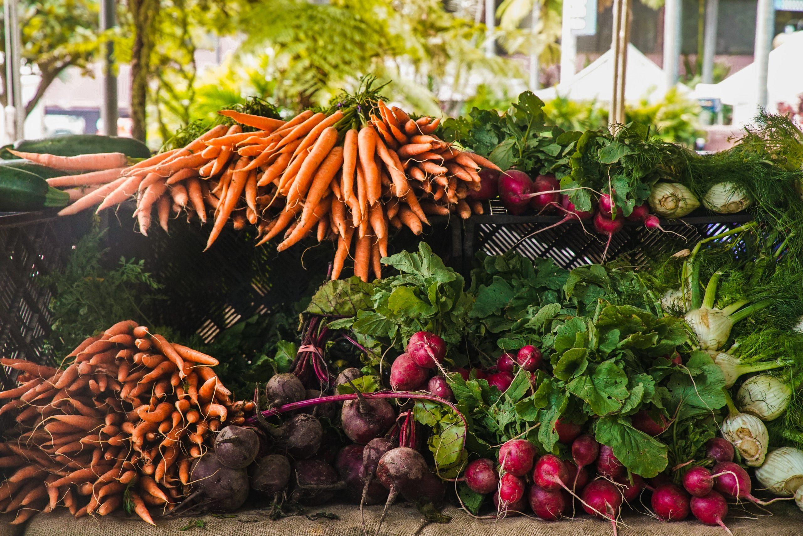 L’alimentation durable : des ressources pour tout comprendre (ou ...